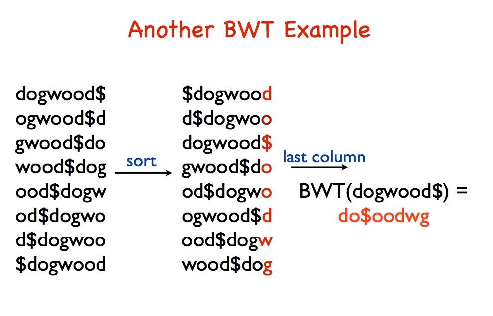 当群体变异检测遇上BWT - 知乎