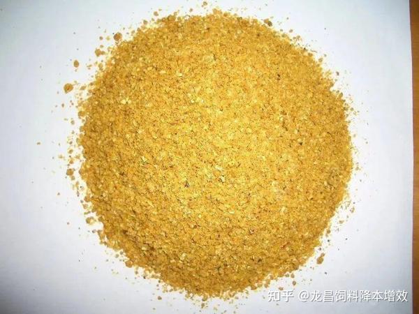 浅谈玉米DDGS质量控制问题！ - 知乎