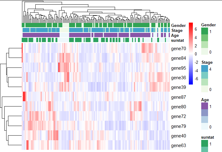 R语言pheatmap绘制基因表达热图 - 知乎