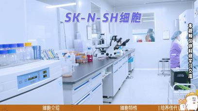 SK-N-SH细胞培养，人神经母细胞瘤细胞培养攻略 - 丰晖生物 - 知乎