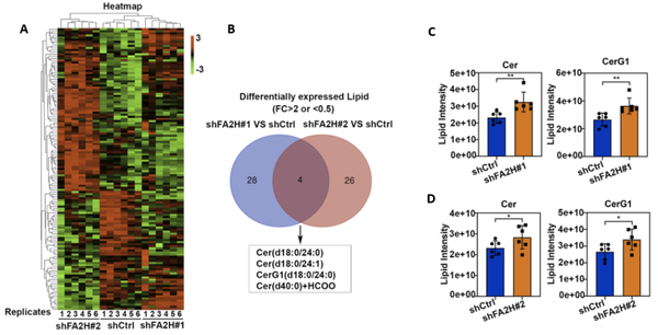 STTT︱刘芝华/吴楠团队揭示脂质代谢在癌症转移过程中的重要机制 - 知乎