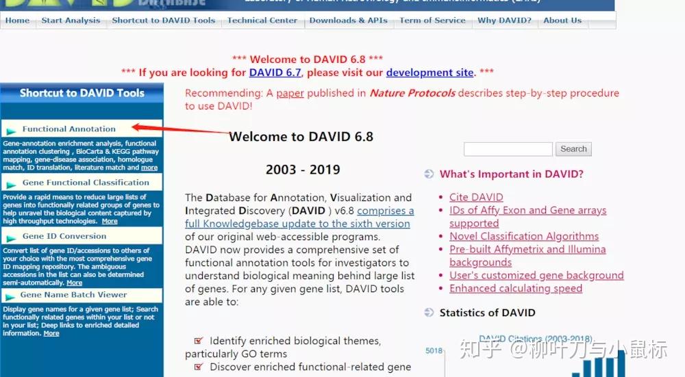 零代码功能富集分析（DAVID数据库、KOBAS数据库使用教程） - 知乎