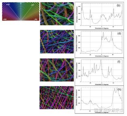 J. Appl. Polym. Sci.：生物相容性聚合物电纺基质微纳米形貌对细胞行为的影响 - 知乎