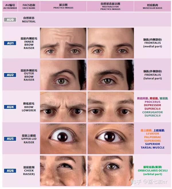 FACS-Facial Action Coding System 面部表情编码系统 各AU(Action Unit)说明 - 知乎