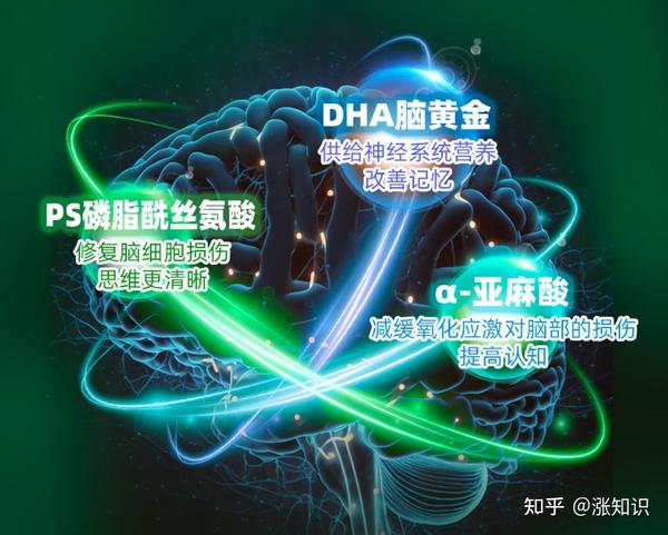 DHA+PS+ARA，HighQ哪款DHA更适合你？ - 知乎