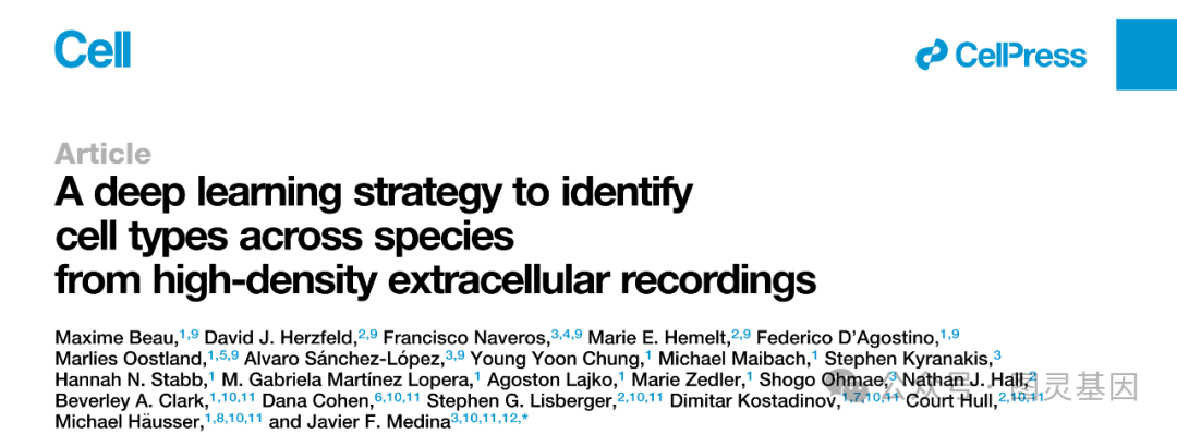 Cell｜深度学习分析光遗传学和药理学数据准确识别多种细胞类型 - 知乎