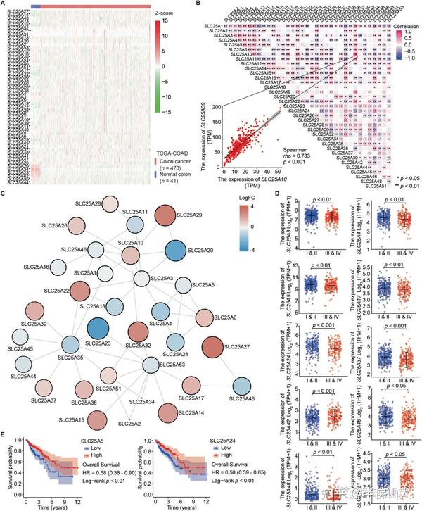 最新9.6分1区文章，基因家族单肿瘤生信+实验 - 知乎