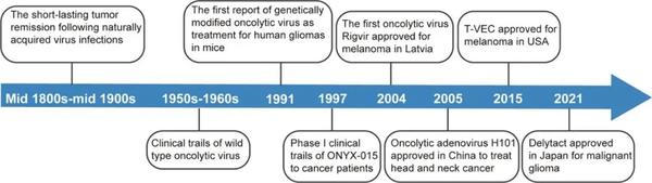 肿瘤免疫疗法的潜力新星—溶瘤病毒 - 知乎
