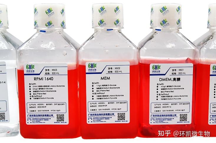 细胞攻略 | 293T(人胚肾细胞)细胞培养教程 - 知乎