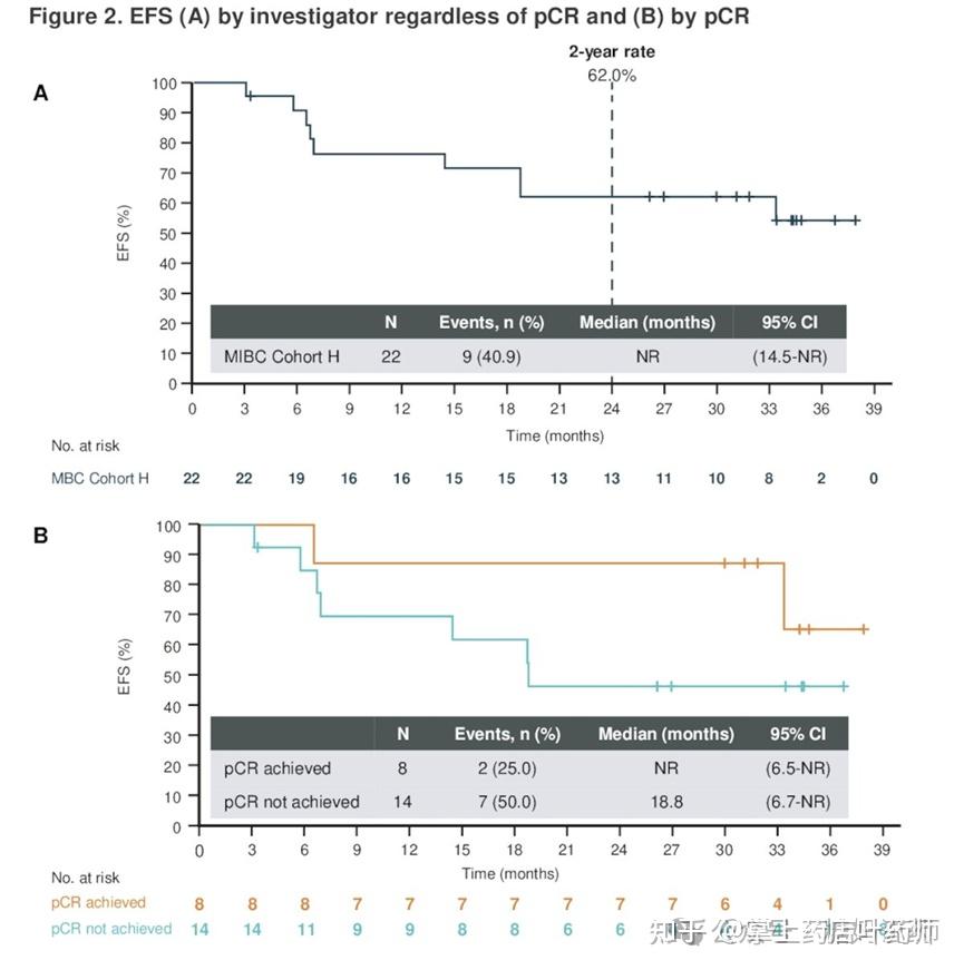 最新！维恩妥尤单抗（EV，恩诺单抗，Padcev）单药治疗浸润性膀胱癌(MIBC)患者：生存期延长、复发率降低且安全性好！ - 知乎