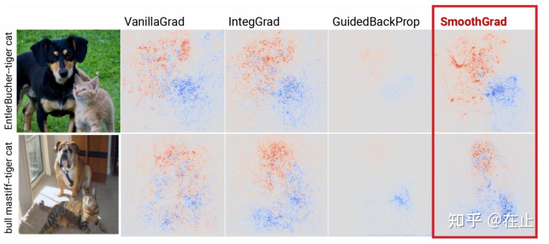 SmoothGrad: removing noise by adding noise 论文解读（附代码） - 知乎