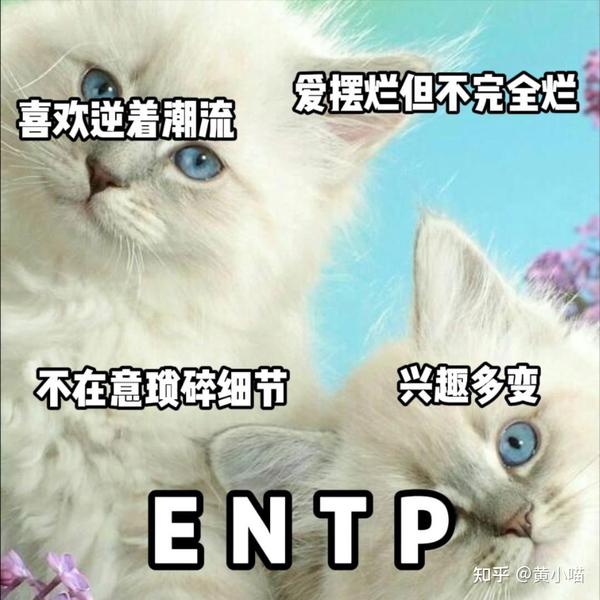 Mbti16人格之一entp的特征 - 知乎