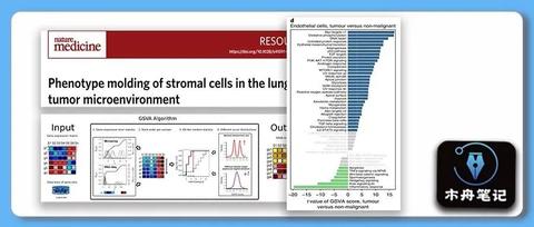 跟着 Nat Med. 学作图 | GSVA+limma差异通路分析+发散条形图 - 知乎