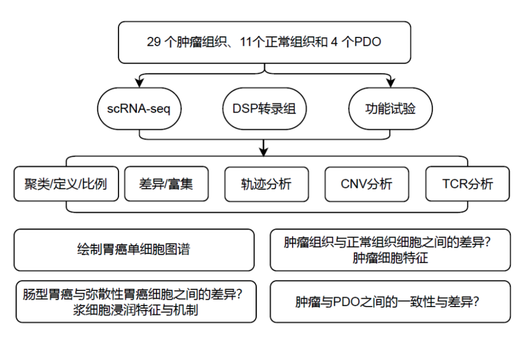 文献解析 | DSP怎么用？详解GeoMx DSP 空间多组学在癌症研究中的应用 - 知乎