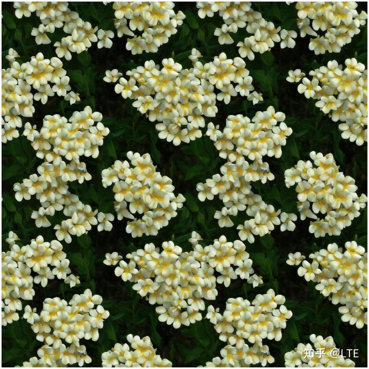 万字长篇！超全Stable Diffusion AI绘画参数及原理详解 - 知乎