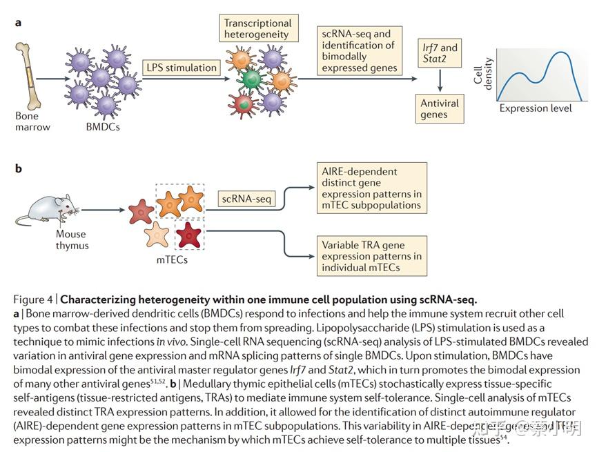 NID209_Single-cell RNA sequencing to explore immune cell heterogeneity - 知乎