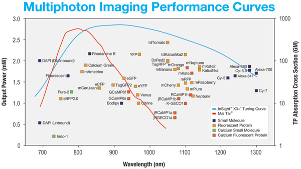 MKS生命与健康科学应用之多光子成像 - 知乎