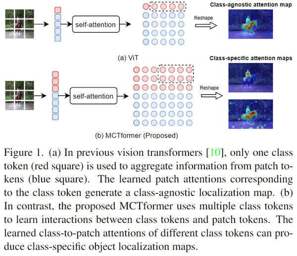 【论文阅读】《Multi-class Token Transformer for Weakly Supervised Semantic Segmentation(CVPR2022)》 - 知乎