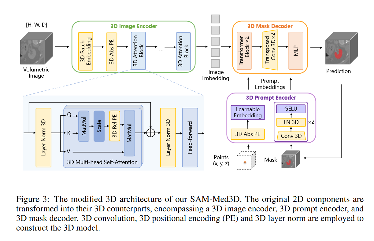 SAM在医学影像中的应用（最新） - 知乎
