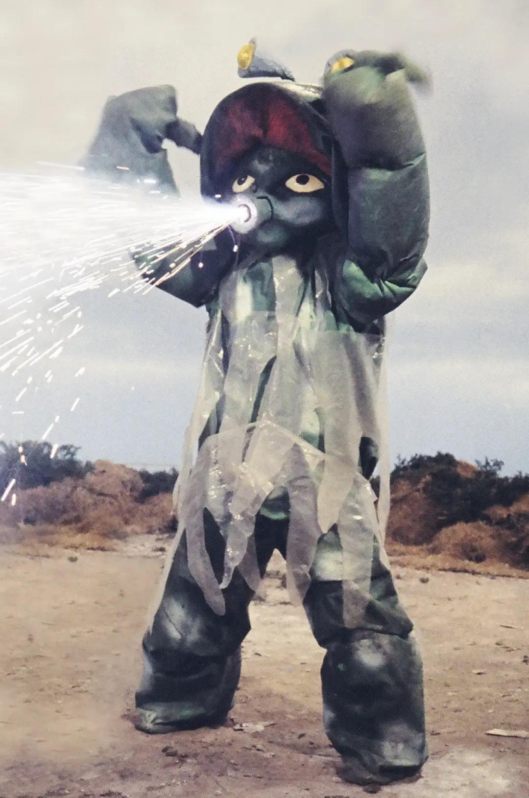 圆盘生物主要种类介绍 - 知乎