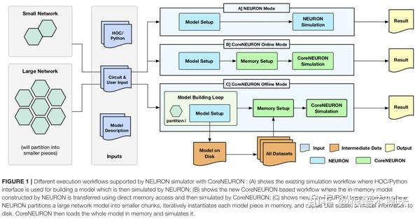 CoreNEURON：NEURON 模拟器的优化计算引擎 - 知乎