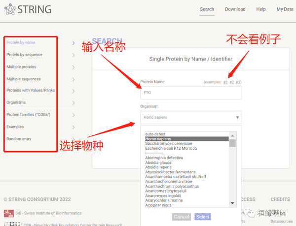 RNA 14. SCI 文章中差异表达基因之 蛋白互作网络 (PPI) - 知乎