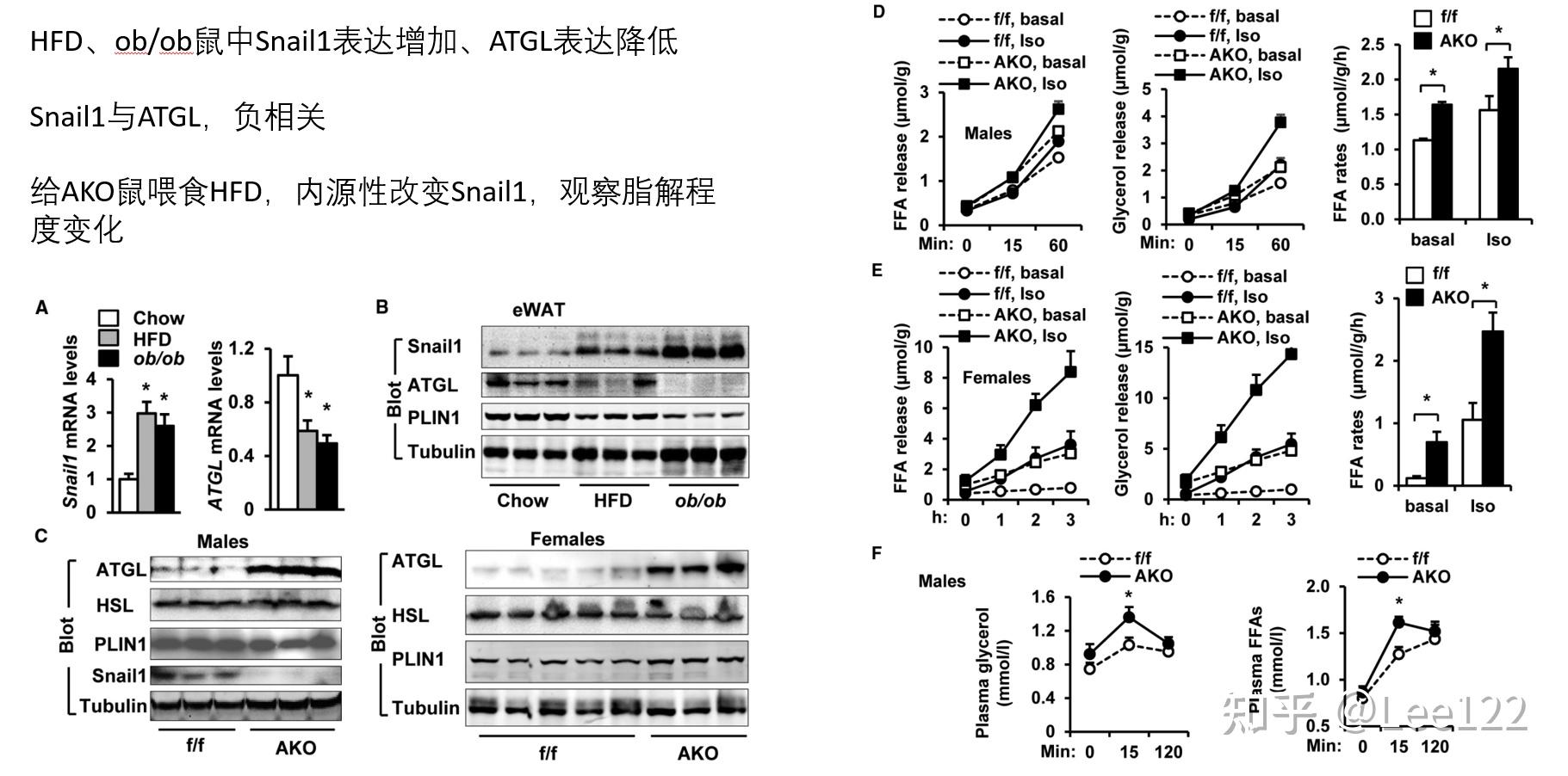 脂肪Snail1通过抑制ATGL的表达调节脂质分解 - 知乎
