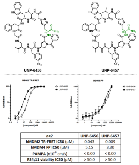 最新进展 | 环肽DEL筛选为MDM2抑制剂发现提供新动力 - 知乎
