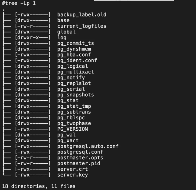 PostgreSQL 数据目录深度揭秘 - 知乎