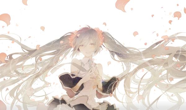 【Rella】画师推荐 - 知乎