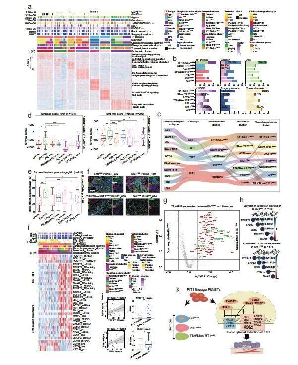 Cell Res | 大规模多组学分析发现垂体瘤组织亚型与靶点 - 知乎