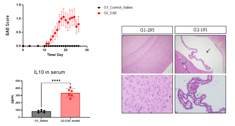 集萃药康EAE动物模型探索多发性硬化MS药物研究 - 知乎