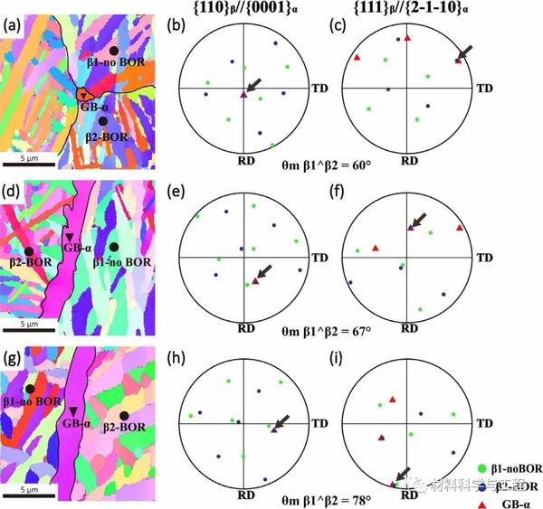上海理工《Scripta Mater》：3D打印钛合金晶界α相的析出与粗化！ - 知乎