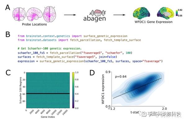 BrainStat：一个用于全脑统计和多模态特征关联的工具箱 - 知乎