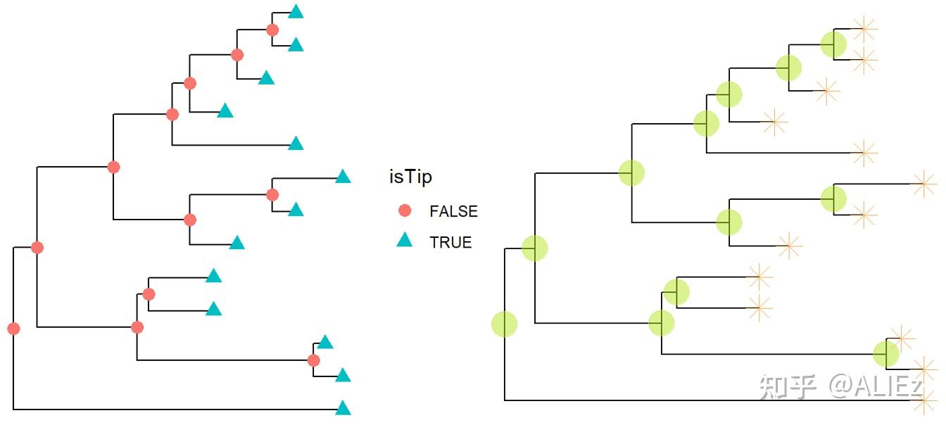 R语言绘制进化树：treeio+ggtree - 知乎