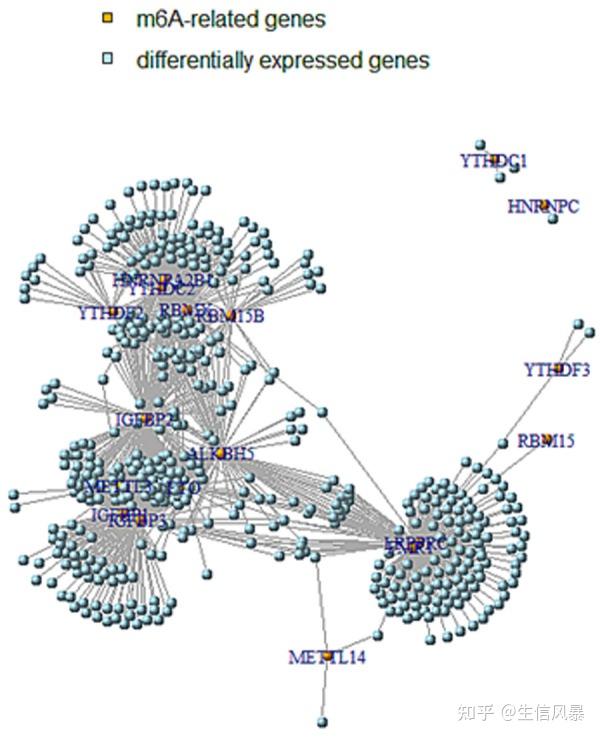 毕业福音，IF=4+的非肿瘤结合m6A的生信思路，简单又快捷的思路！ - 知乎