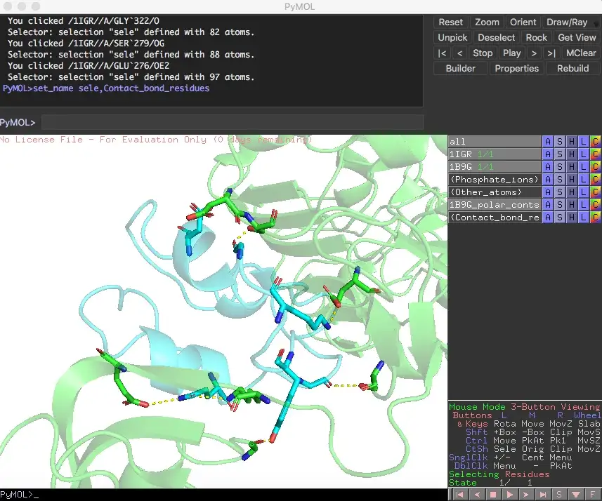 使用 PyMOL 可视化蛋白质-蛋白质对接 - 知乎