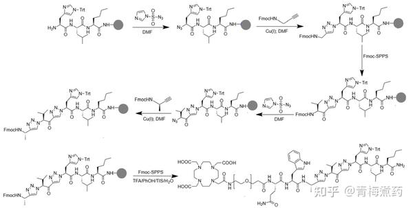 点击化学 | 生物医学应用的进展概述 - 知乎