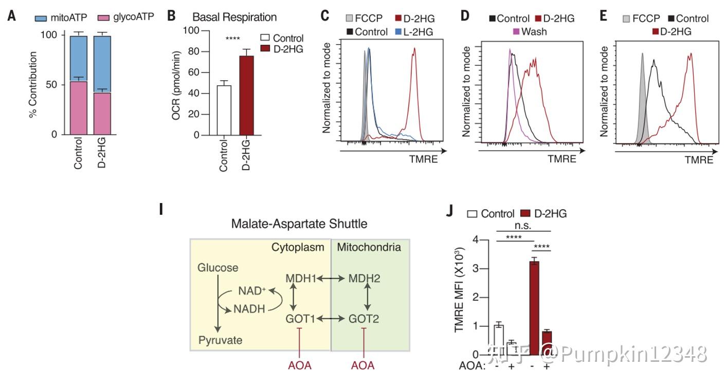 文献阅读：肿瘤代谢物D-2HG改变了CD8+T细胞的代谢途径，进而影响了其效应功能 - 知乎
