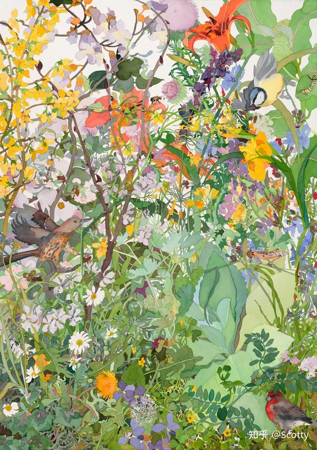 艺术推荐day56：Joan Becker - 知乎