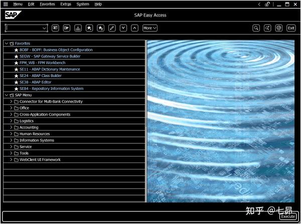 思爱普（SAP）真难之GUI主题设置 - 知乎
