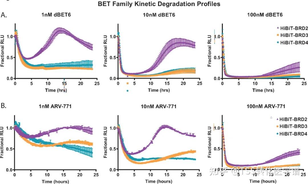 【Jove】HiBiT技术-对靶向蛋白降解分子进行高通量细胞活性分析 - 知乎