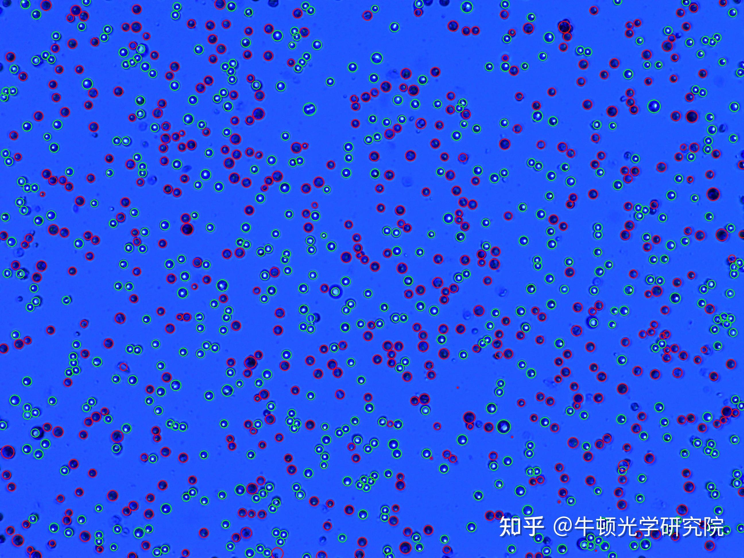 【细胞解读系列】关于A549，您一定要知道的那些事 - 知乎