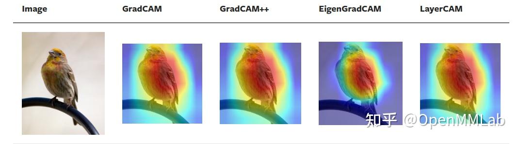 类别激活热力图可视化工具介绍 - 知乎