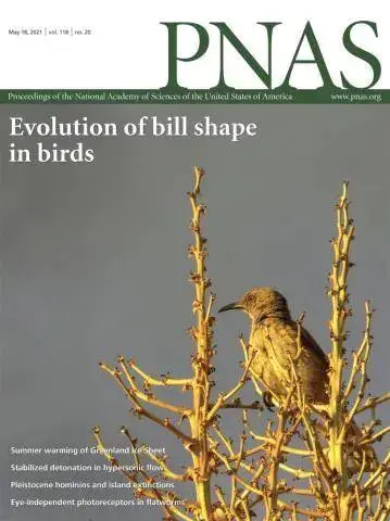 SCI期刊丨又一本顶级子刊来了！ - 知乎