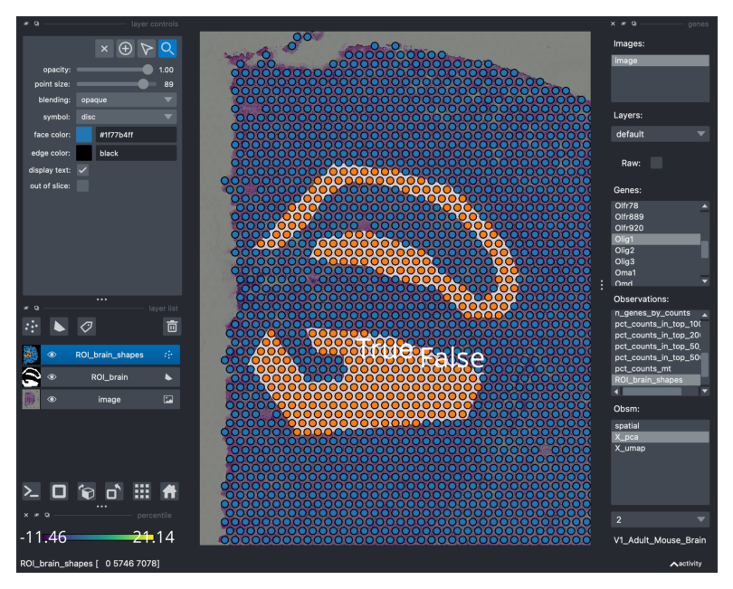 squidpy 教程 3：使用 Napari 进行交互式可视化 - 知乎