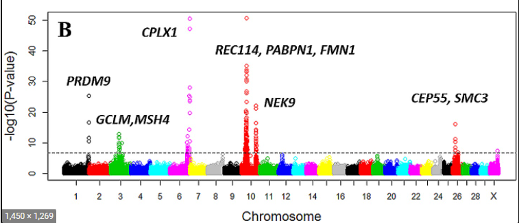 GWAS分析中QQ图和曼哈顿图如何看？ - 知乎