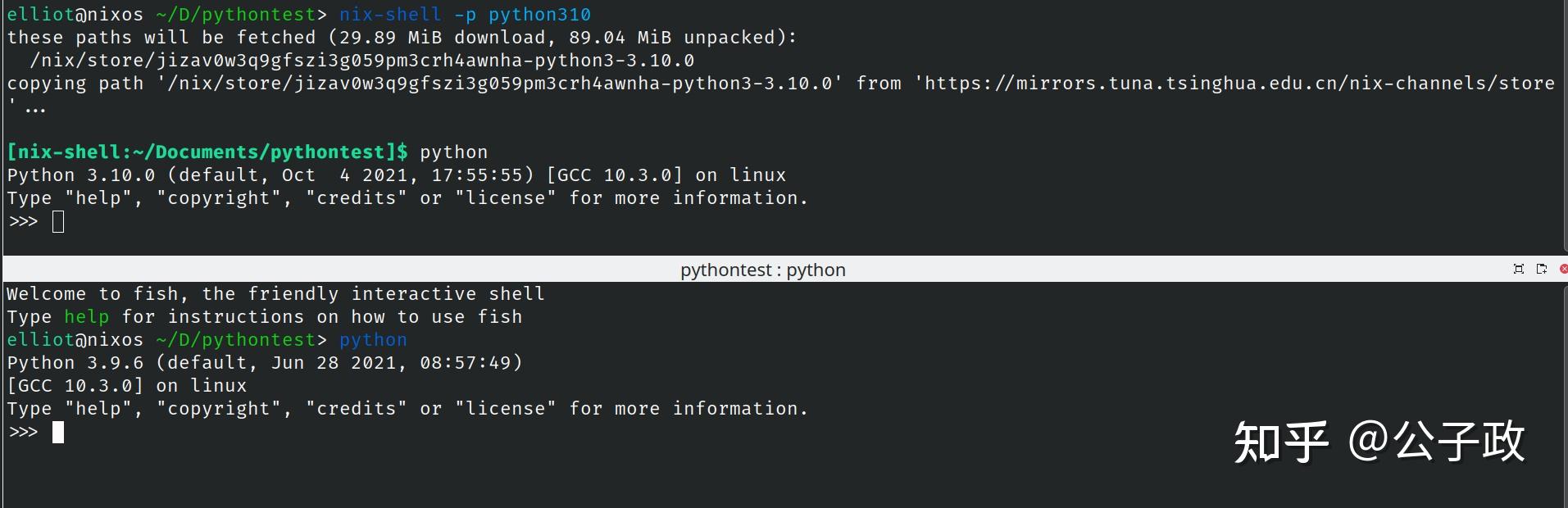 Nix入坑笔记 - 知乎