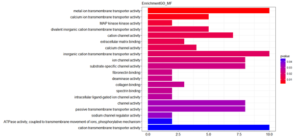 R|clusterProfiler-富集分析 - 知乎