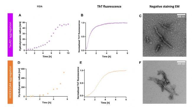 神经退行性疾病 | FIDA分子互作与Label free技术表征ND相关蛋白亲和力、聚集体、热力学、LLPS、细胞裂解液合集 - 知乎
